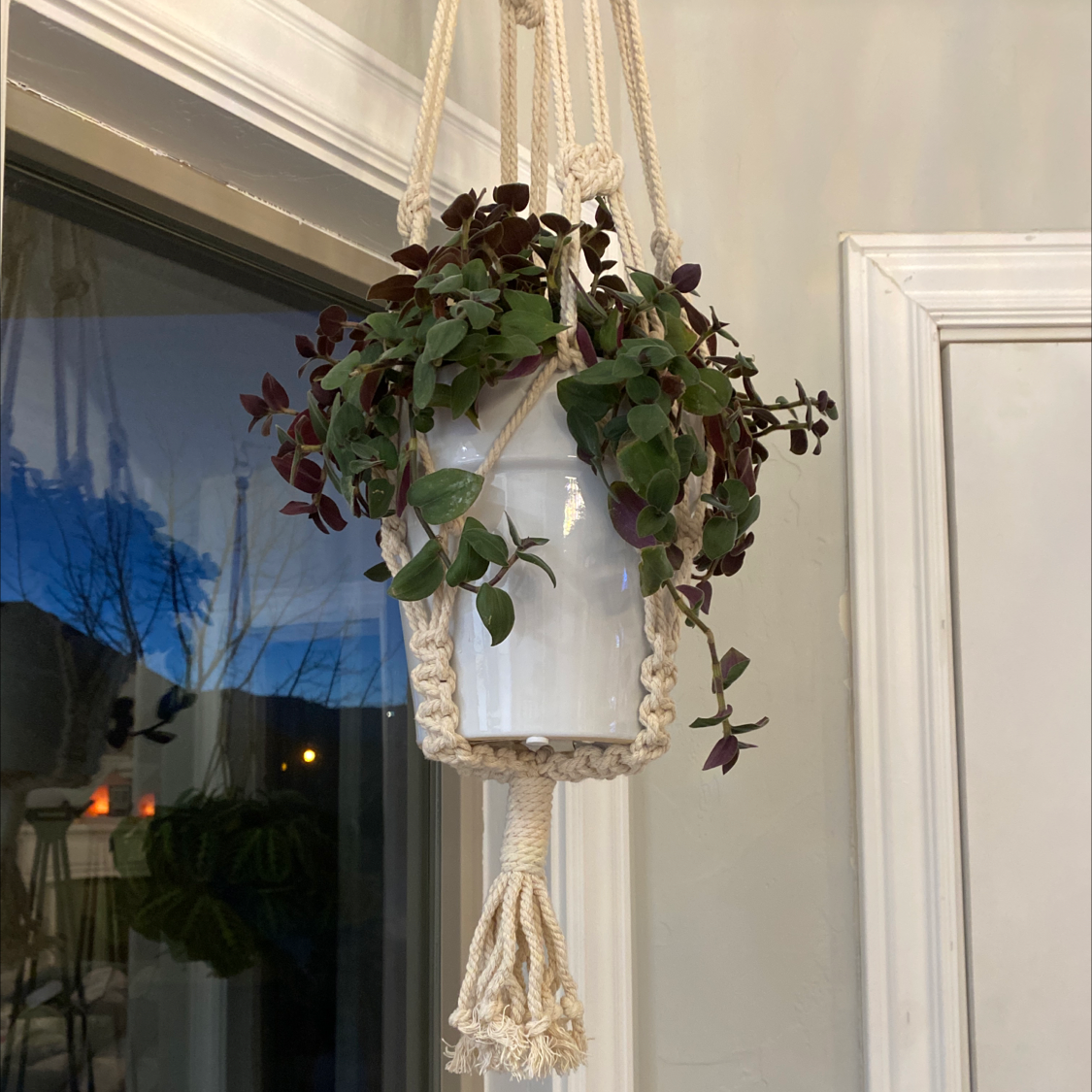 🐰 10 Advantages of Having a Baby Bunny Bellies