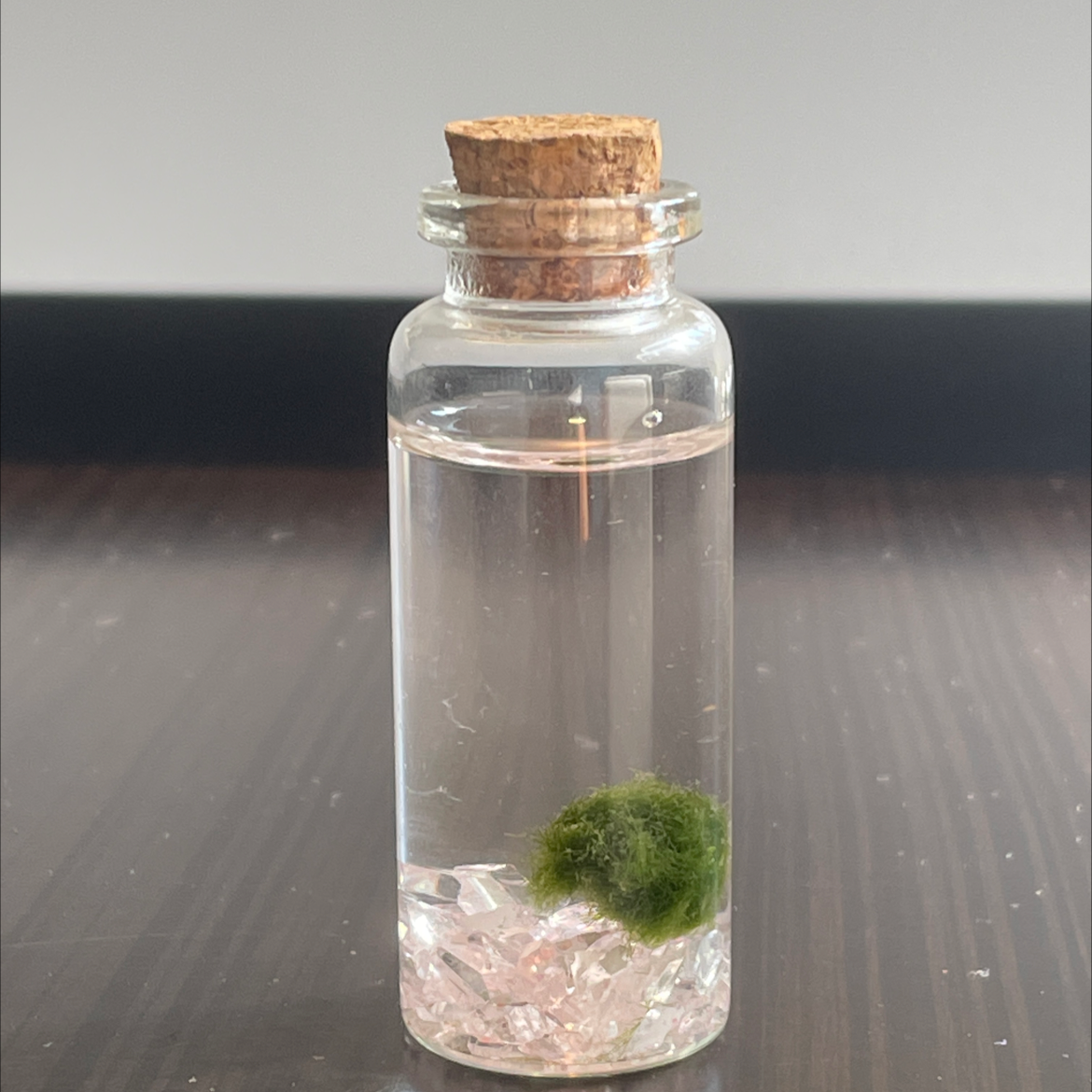 Common Marimo Problems