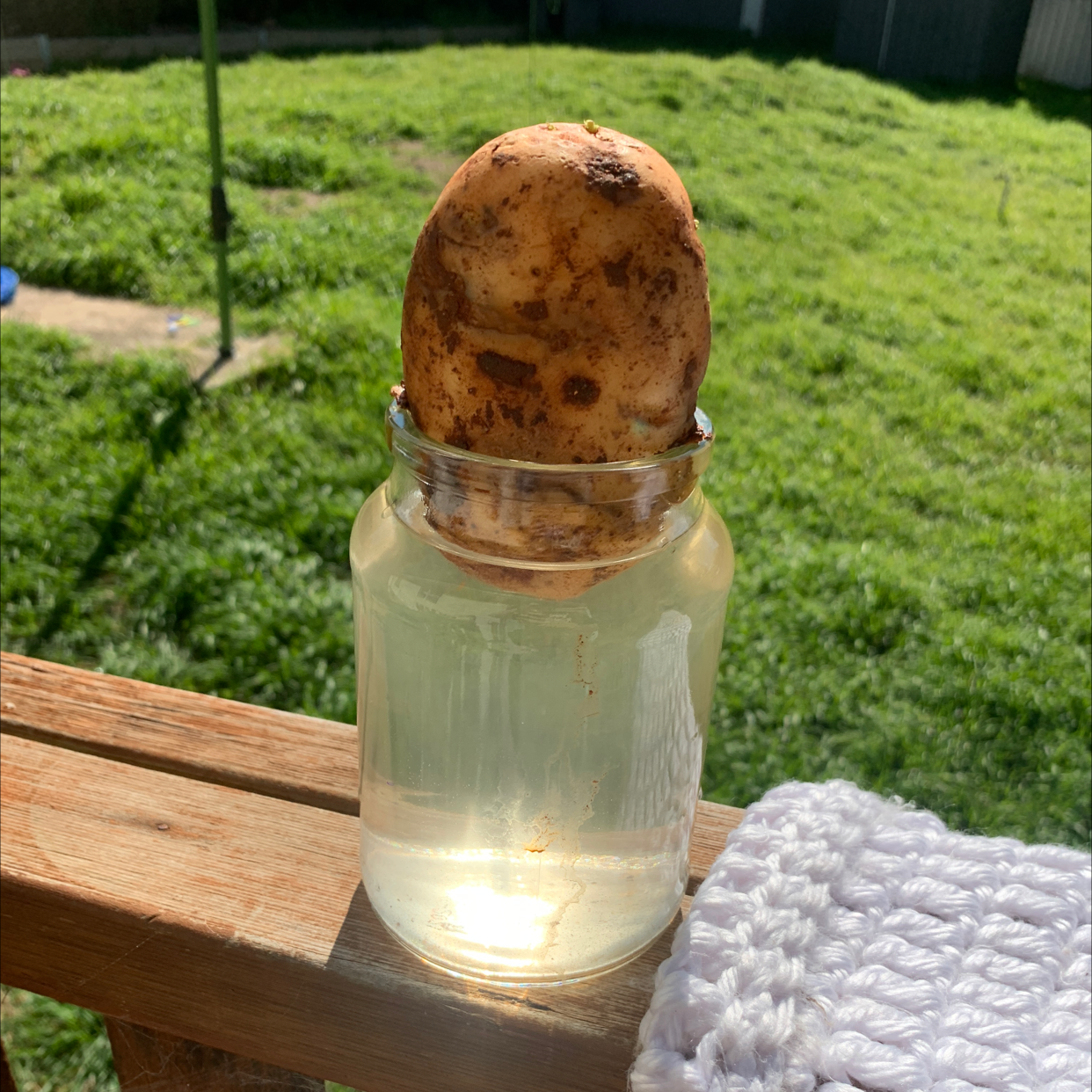 10 Benefits of Having a Potato