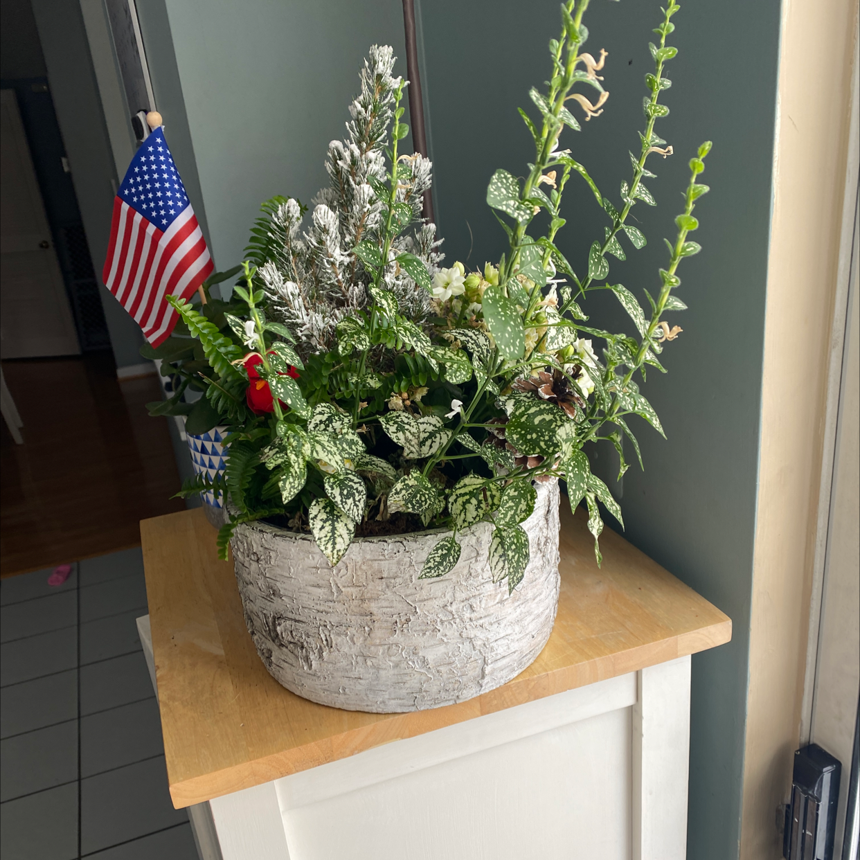 Why Are My Common Snapdragon Leaves Turning Yellow?