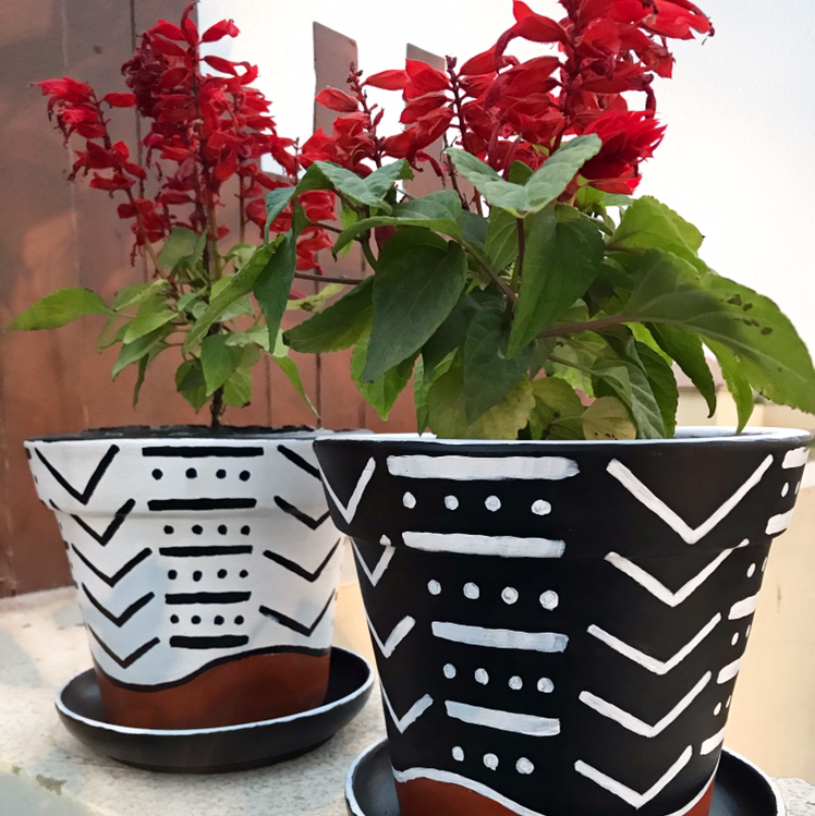 Black Spots on My Scarlet Sage Leaves