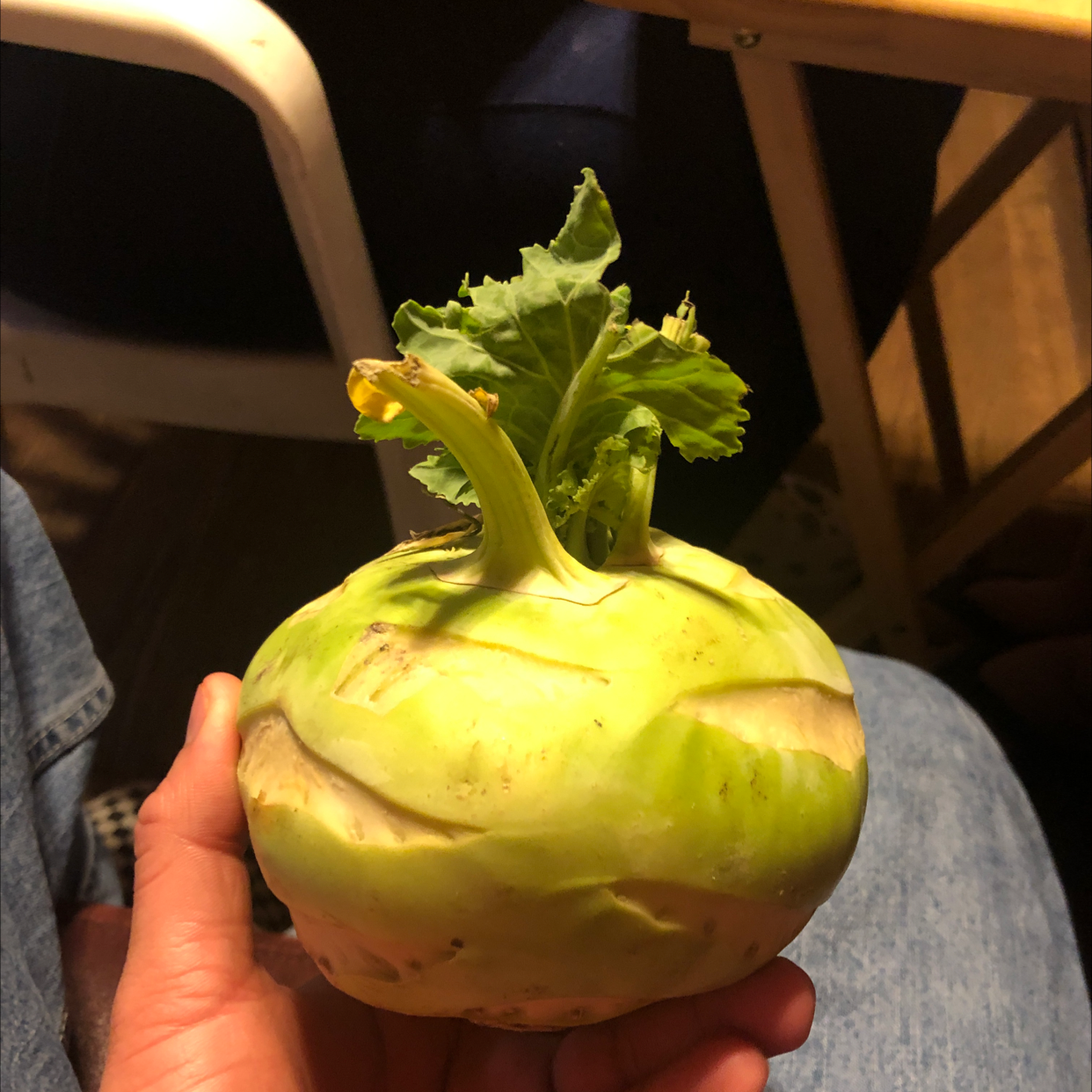 How to Propagate Your Wild Cabbage