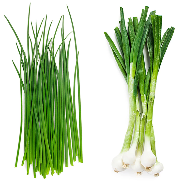 🌡 What Is A Good Temperature Range For My Wild Chives?