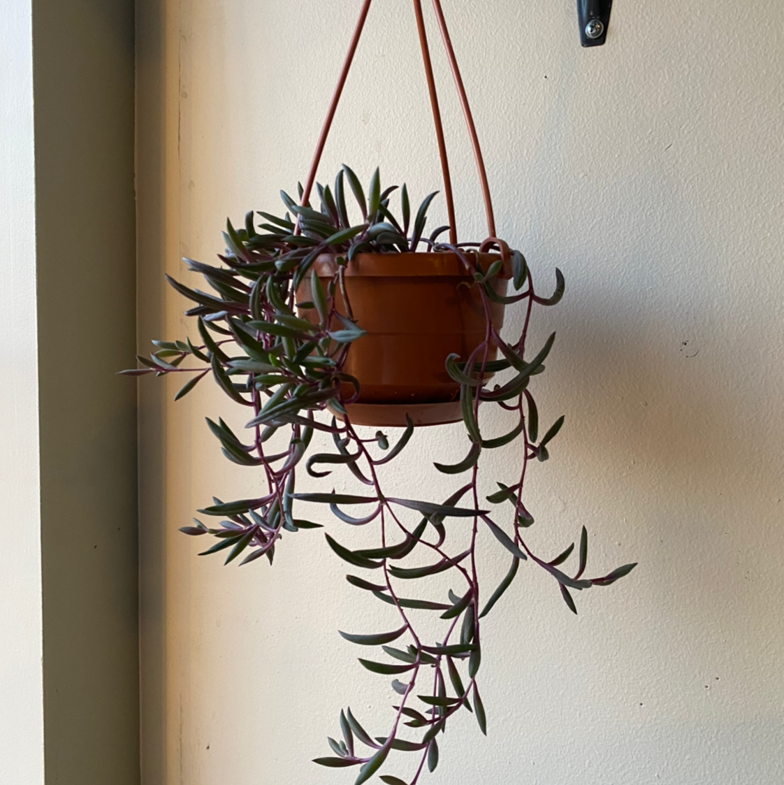 How to Propagate Your String of Pickles