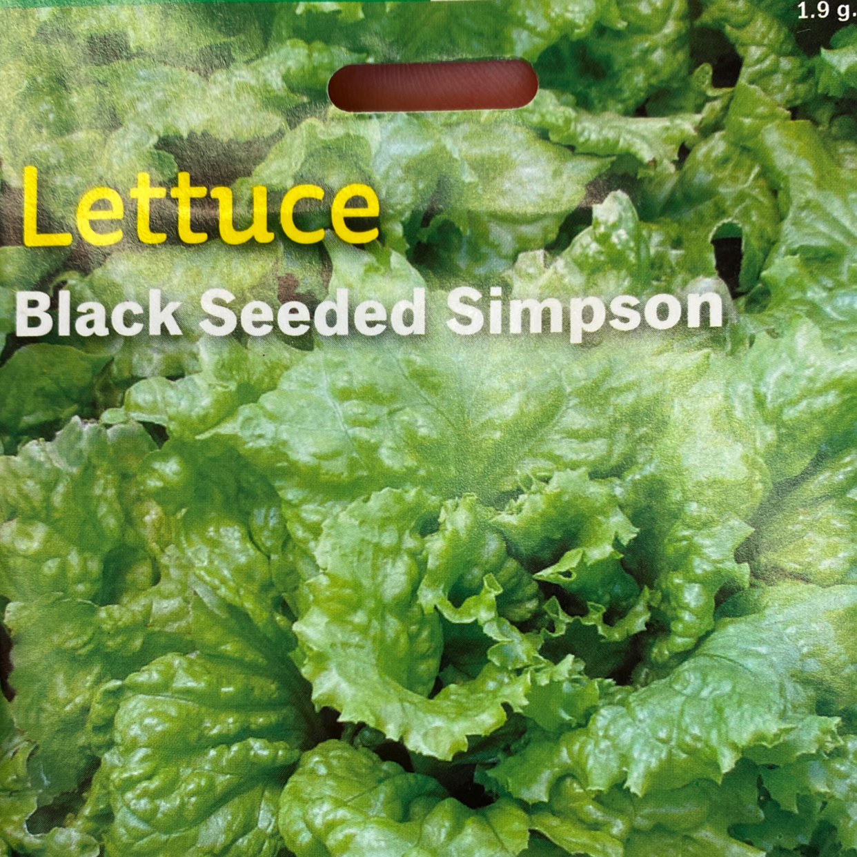 How Do I Propagate My Garden Lettuce?