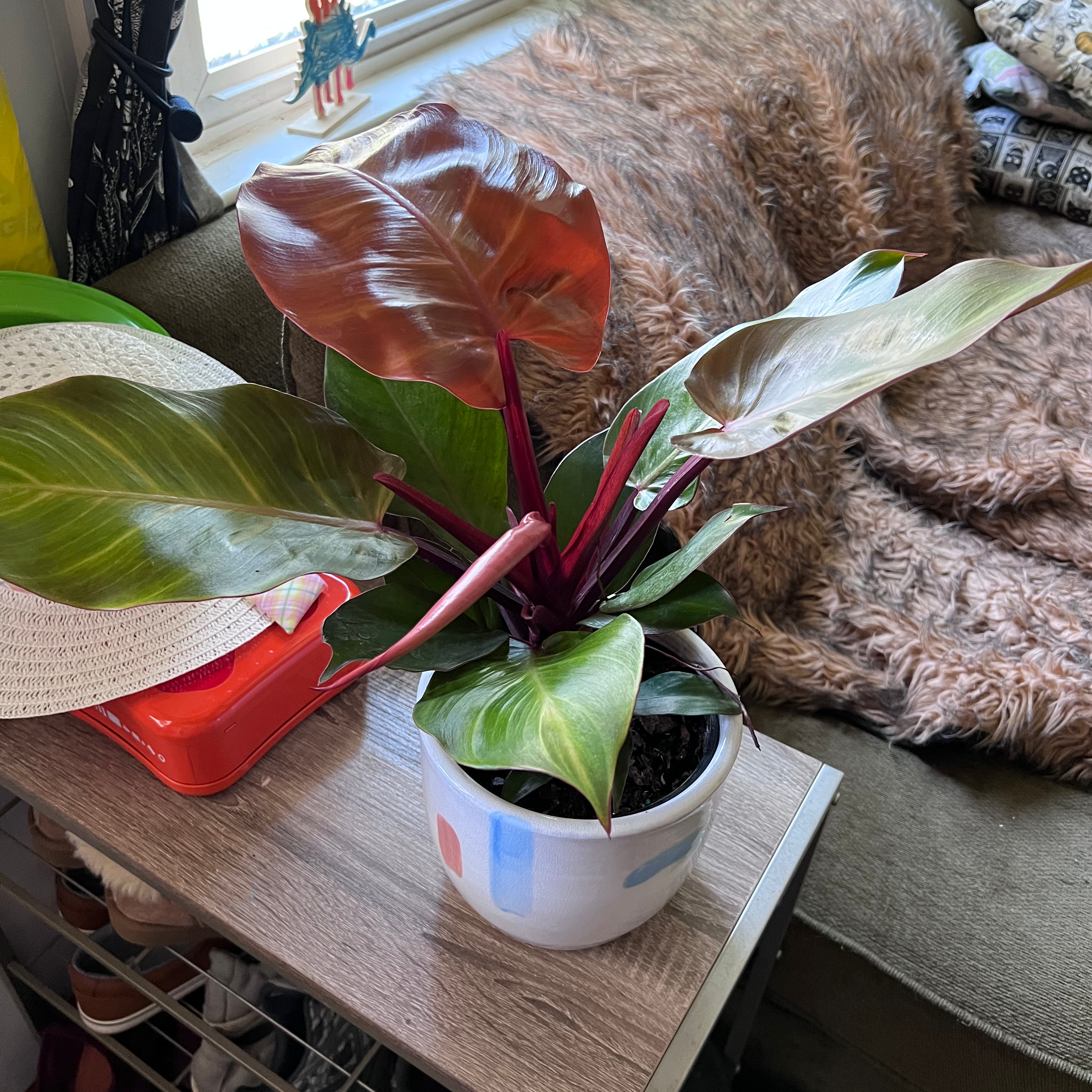 10 Benefits of Having a McColley's Finale