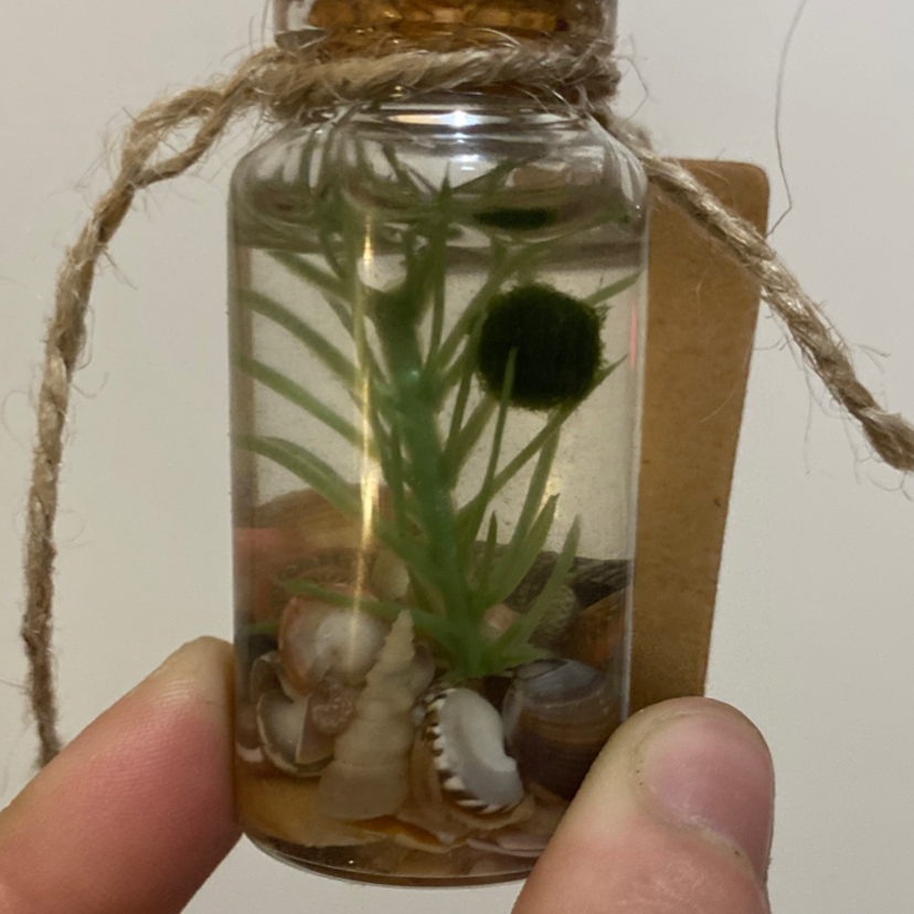 💧 Soil Recommendations for Marimo