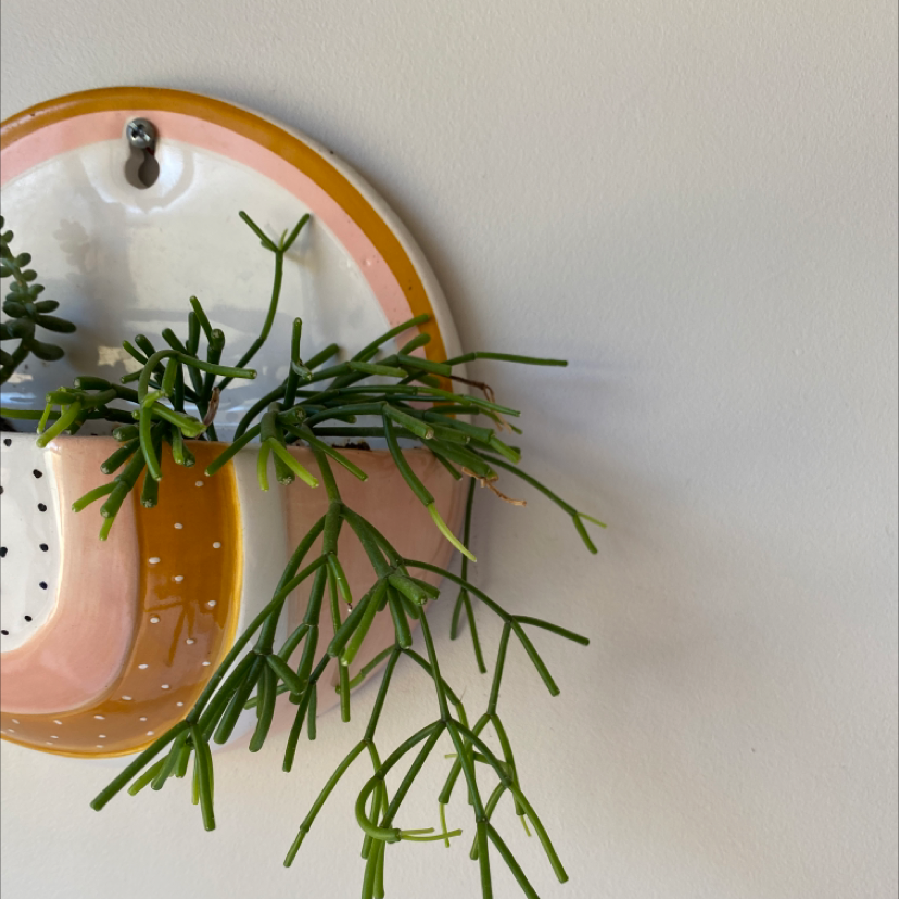 💃 How and When Should I Cut Back My Dancing Bones?