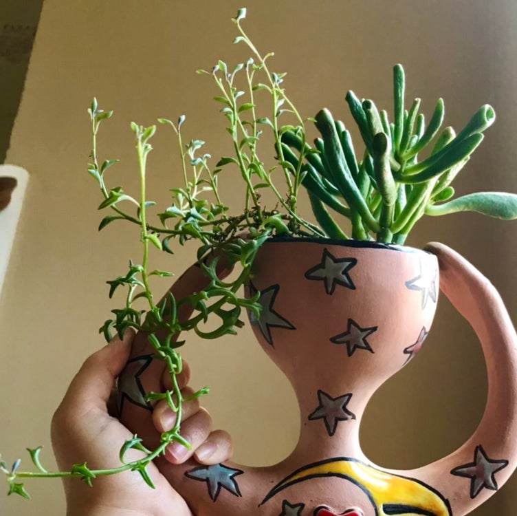 What Do String Of Dolphins Flowers Mean? 🐬