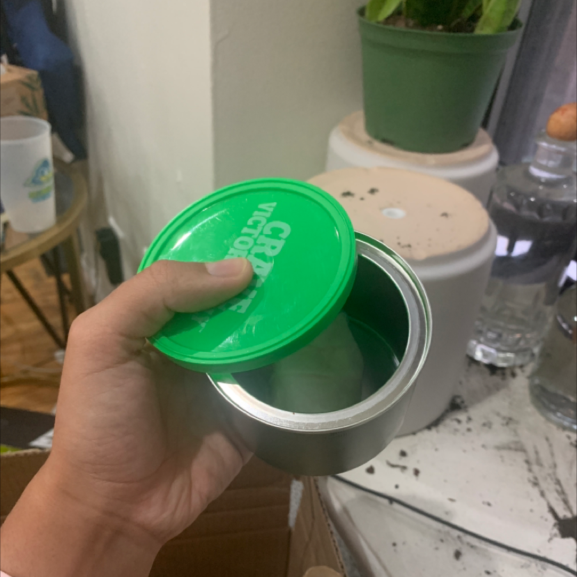 Common Mango Problems