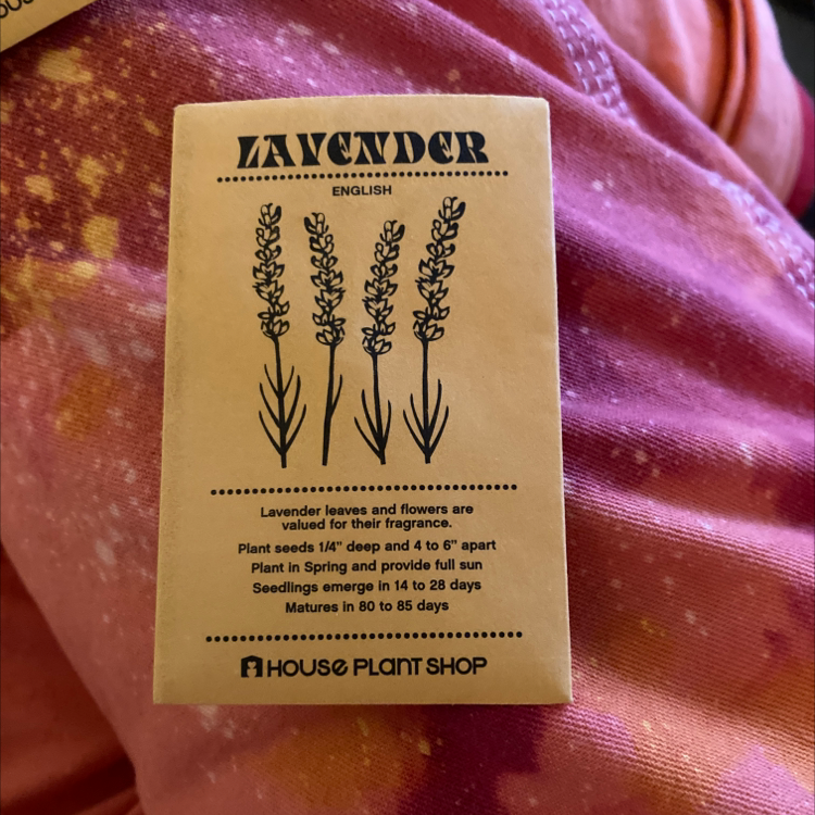 English Lavender Fertilizer: How and When to Use It