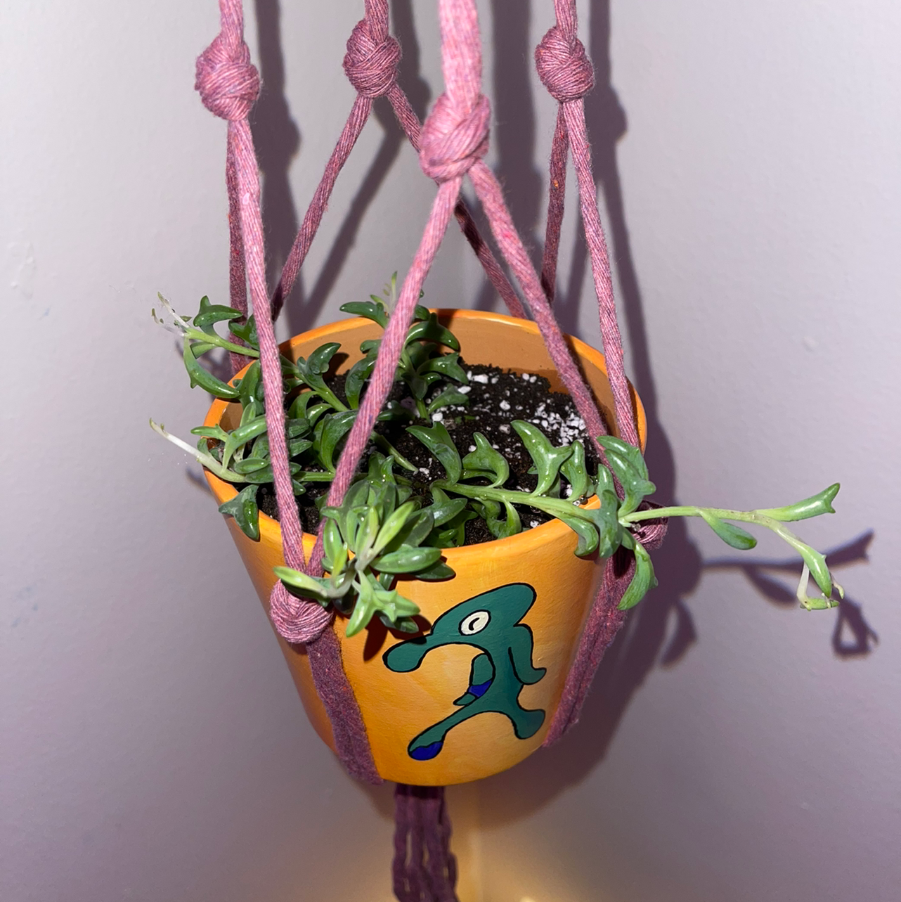 Symbolism And Benefits Of The String Of Dolphins 🐬