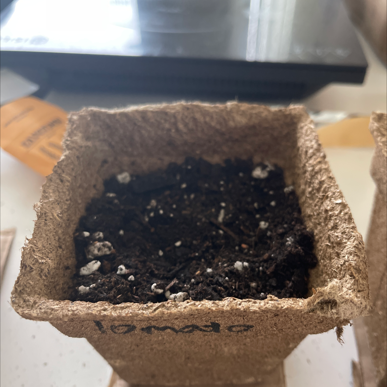 🍅 How Much Humidity Does My Tomato Plant Need?