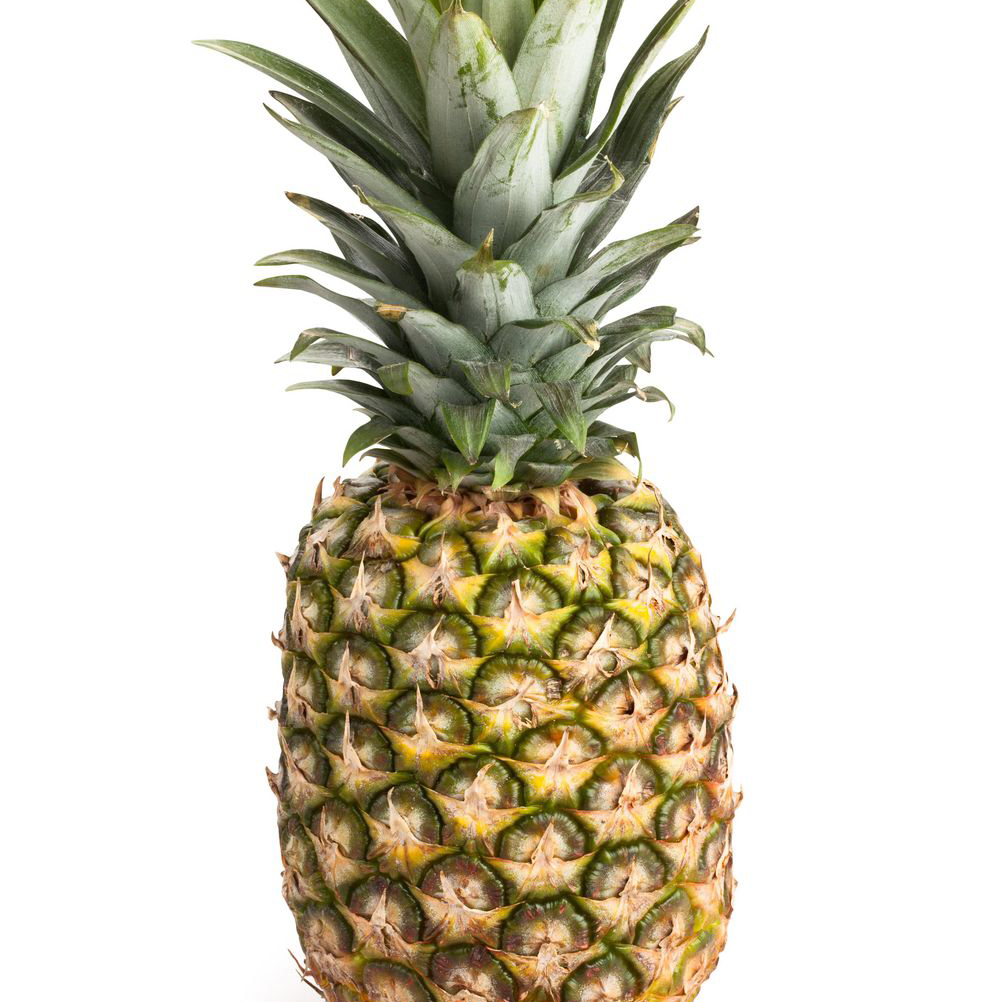 🍍 Pineapple - Ultimate Guide To Fertilizing