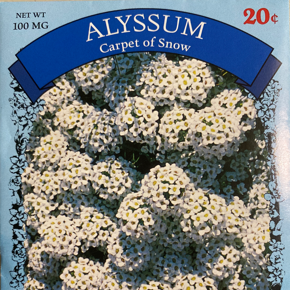 10 Benefits of Having a Sweet Alyssum