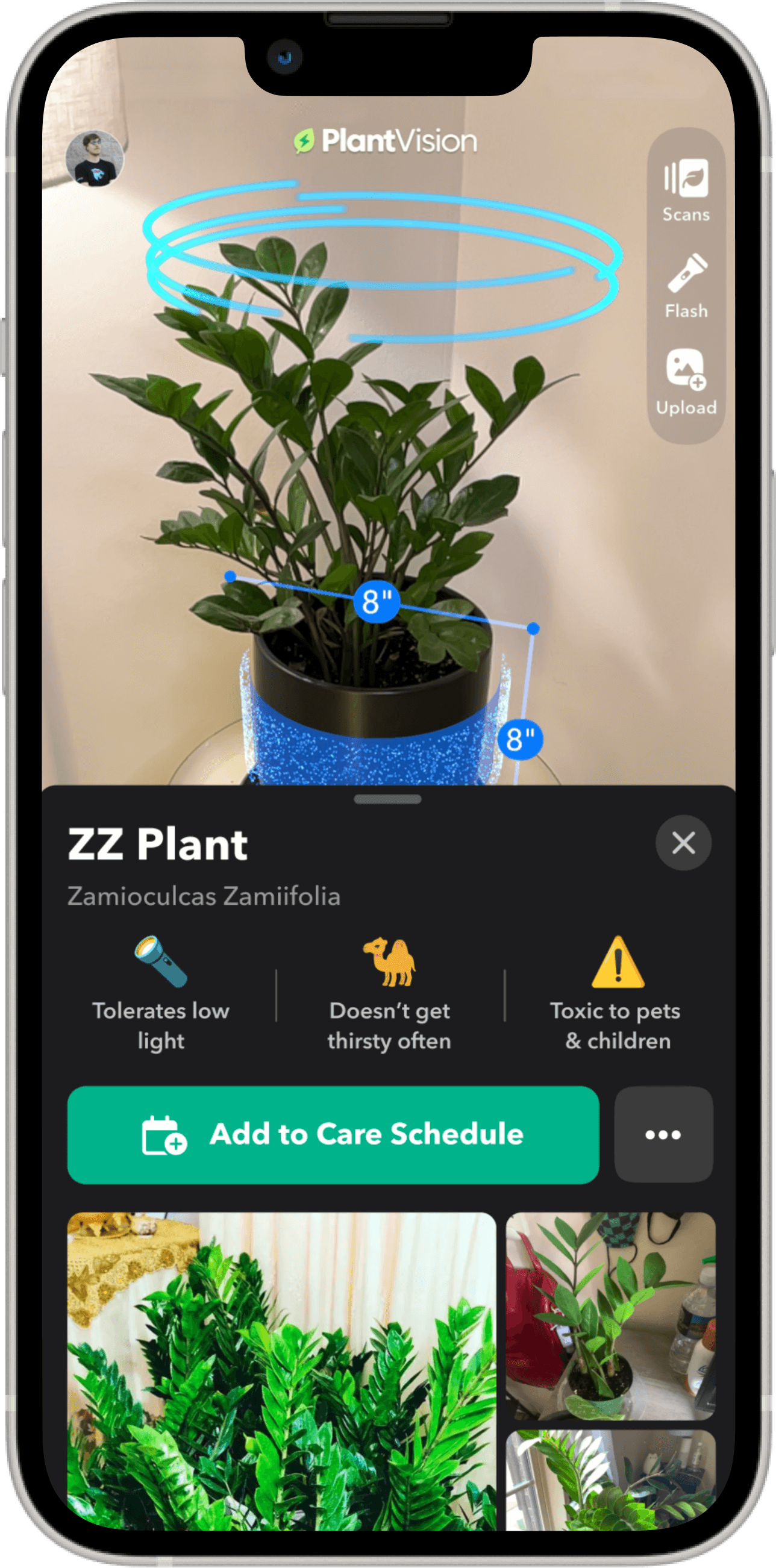 Greg - Plant Identifier & Care
