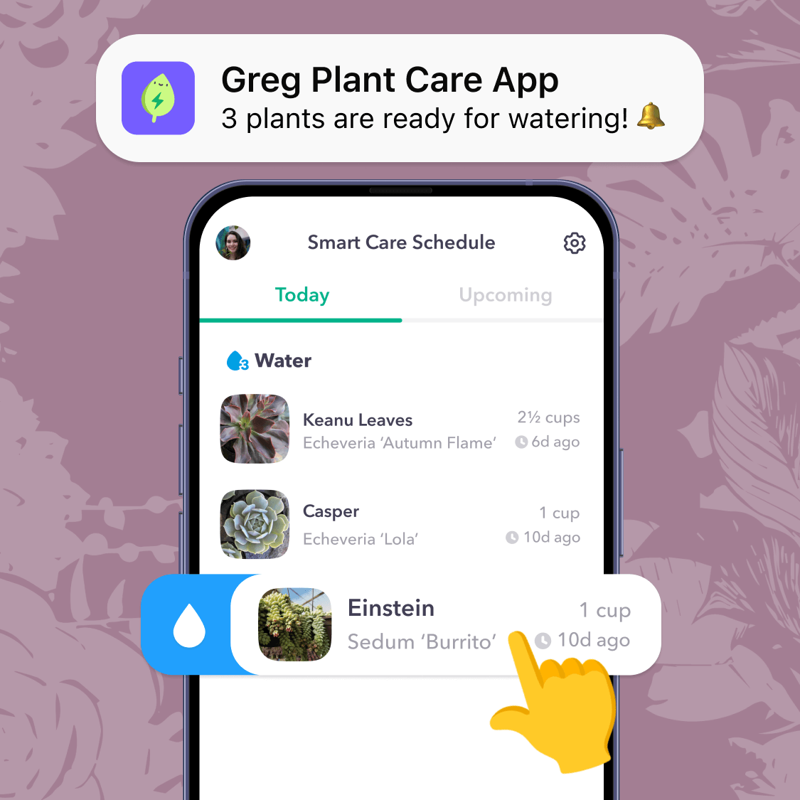 Plant Care by Altman Plants and Greg