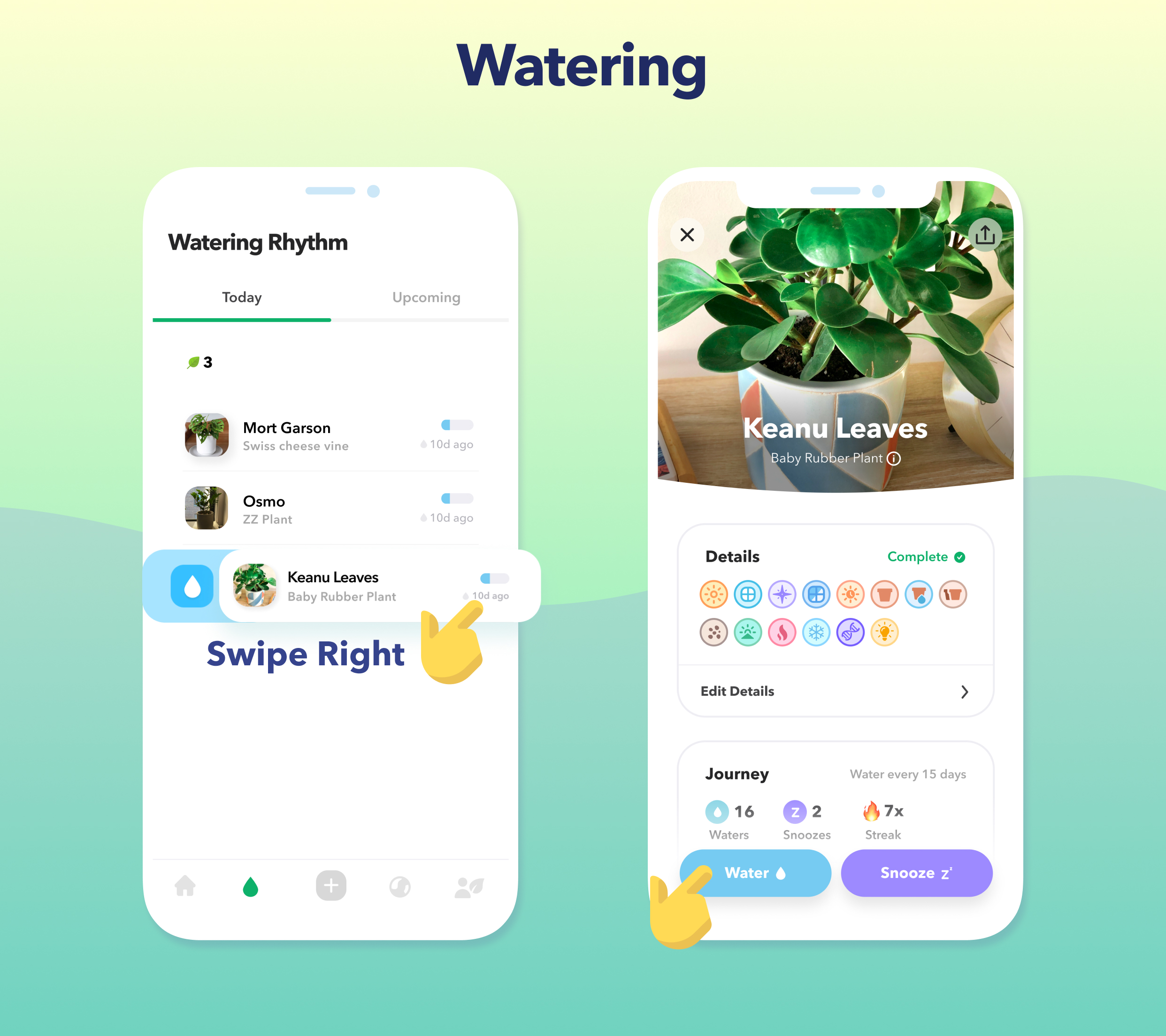Tutorial: Watering Plants
